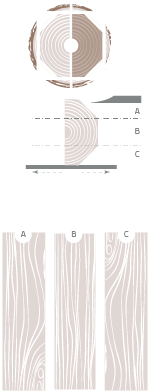 Veneered panels - Bnext Group